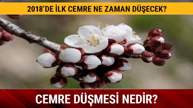Cemre nedir