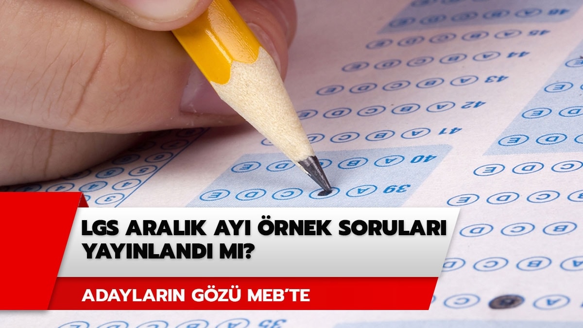 Aralık Ayı Lgs Soruları Yayında