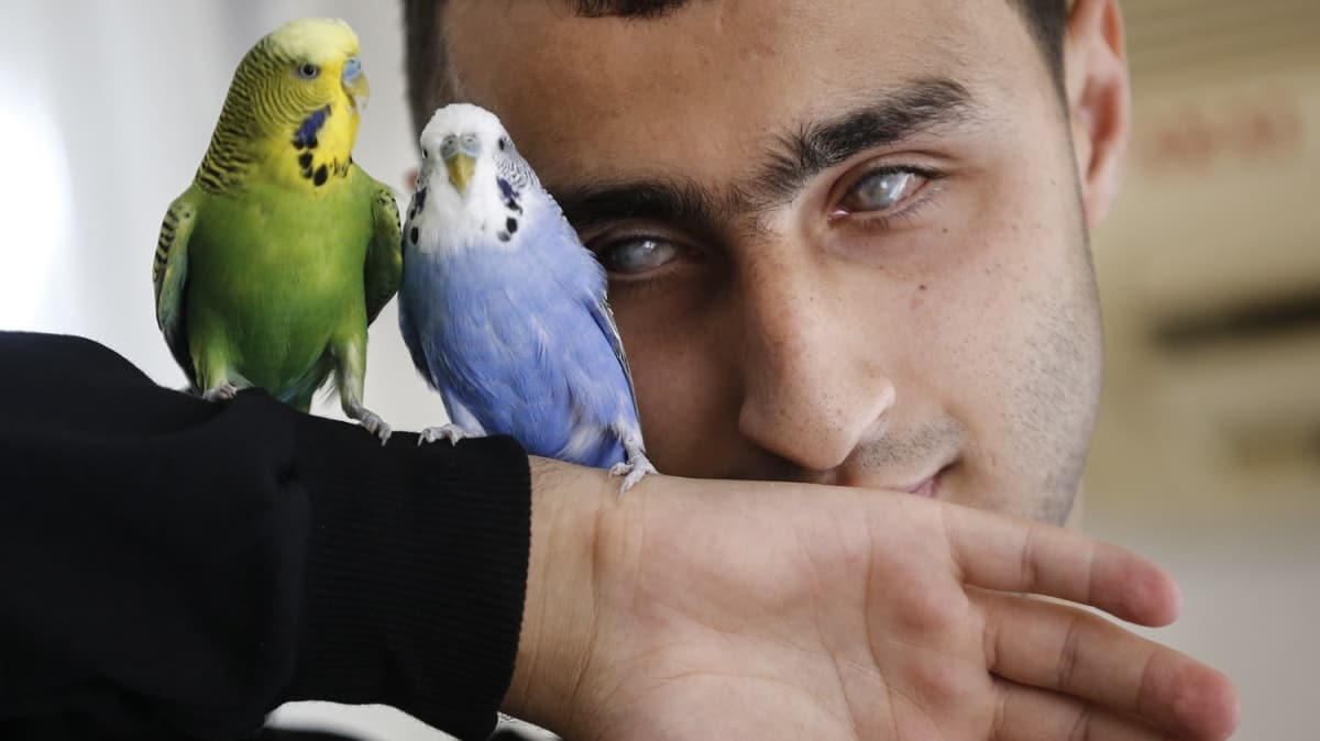 Yazılım dersleri veren görme engelli Mert, azmiyle örnek oluyor Yazılım dersleri veren görme engelli Mert, azmiyle örnek oluyor