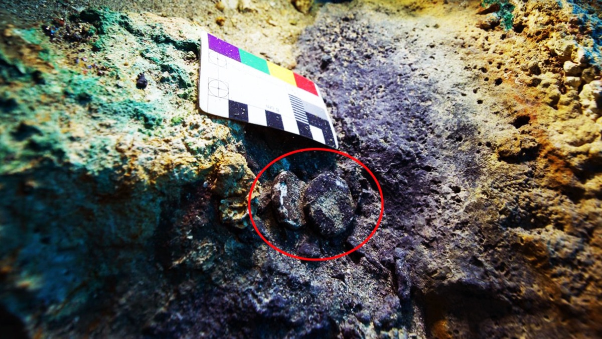 Dünyada bir ilk! Türkiye'de heyecanlandıran keşif: ABD, İngiltere ...